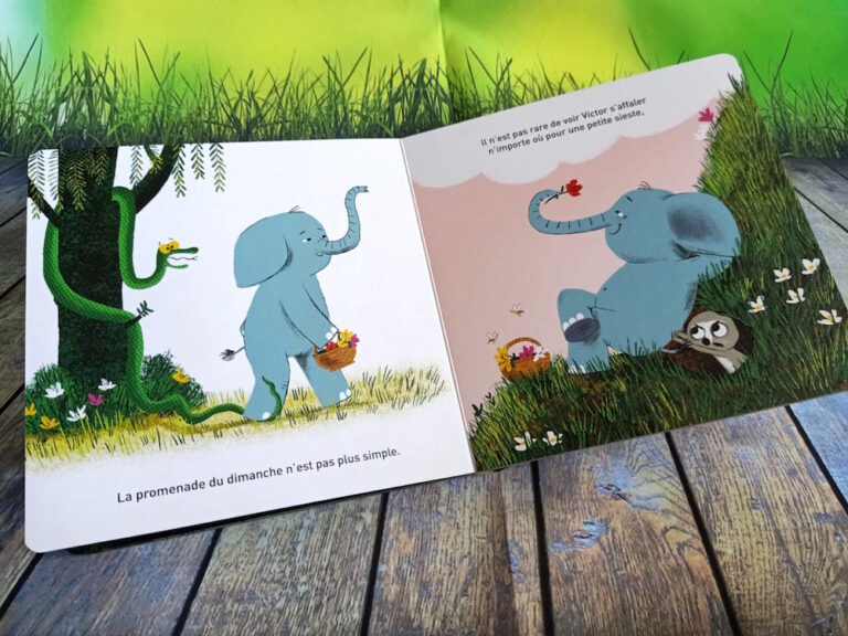 Le Petit Problème De Victor – Liyah.fr – Livre enfant | Manga Shojo ...