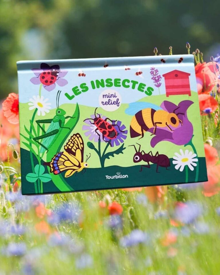 Les Insectes – Liyah.fr – Livre enfant | Manga Shojo | BD | Livre pour ...